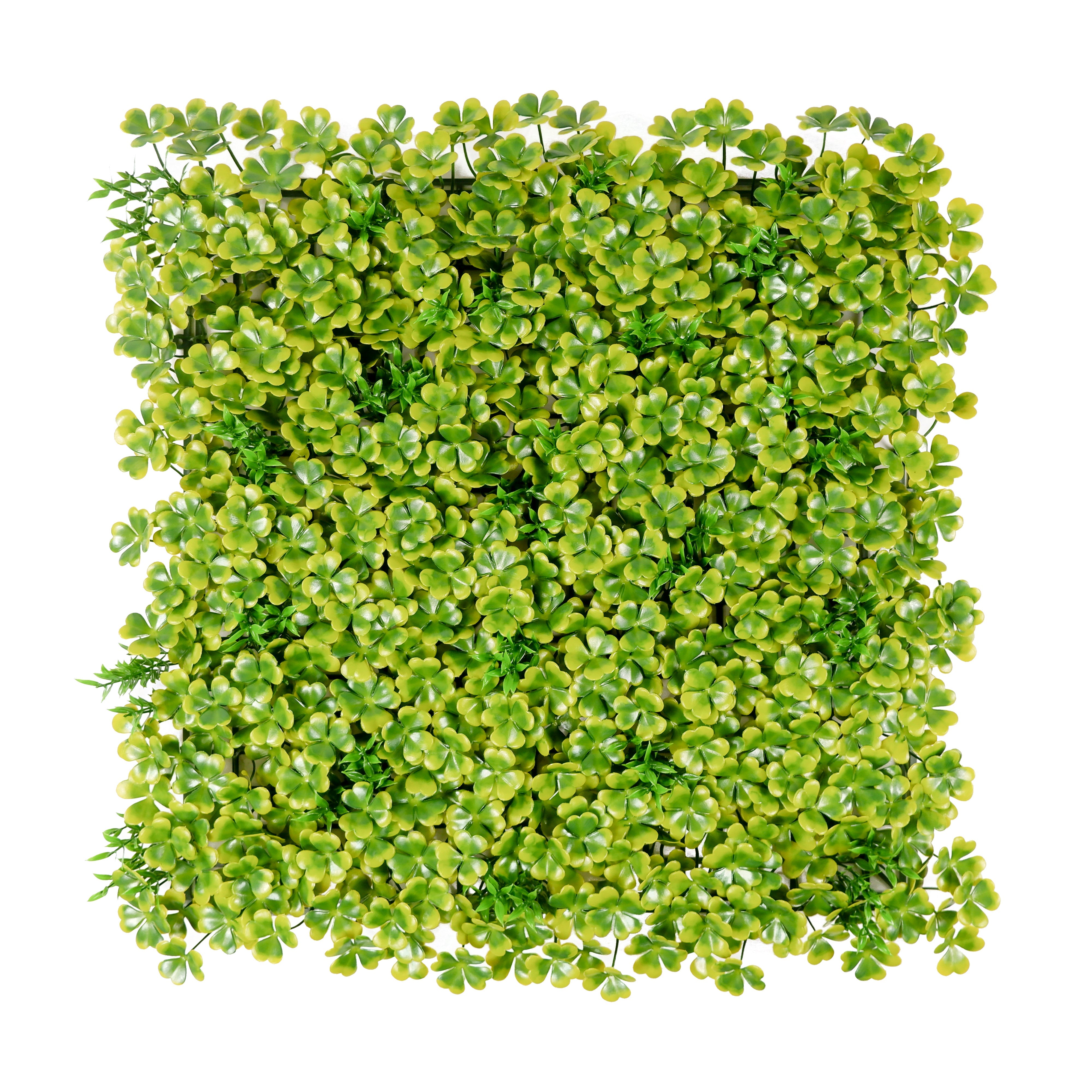 Green And Yellow Four-Leaf Clover With Grass Artificial Green Wall ...
